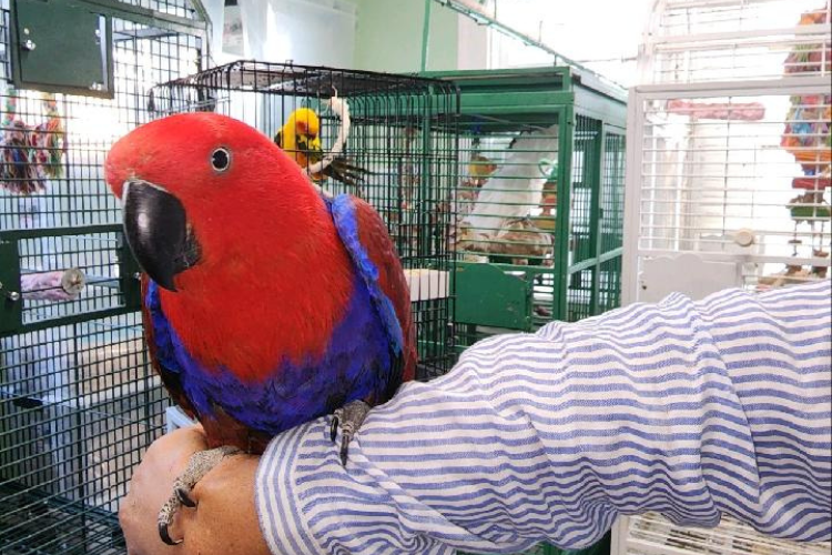 About Us – Endless Love Petting