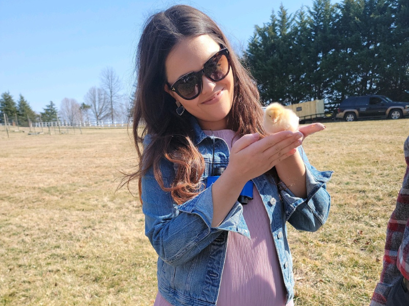Gallery – Endless Love Petting