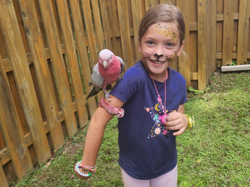 Gallery – Endless Love Petting