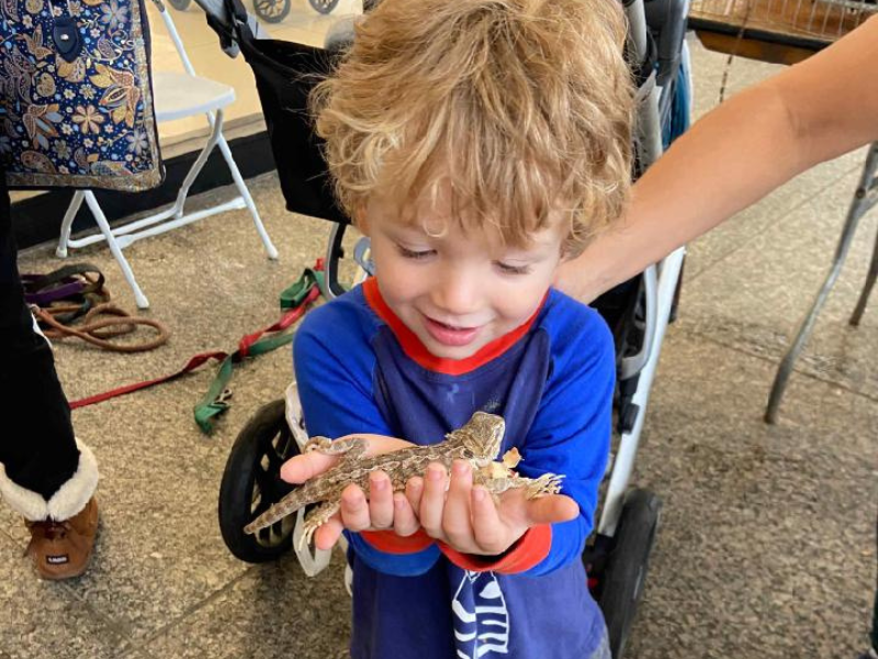 Gallery – Endless Love Petting