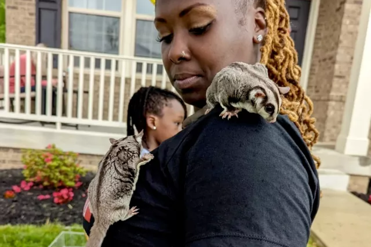 About Us – Endless Love Petting